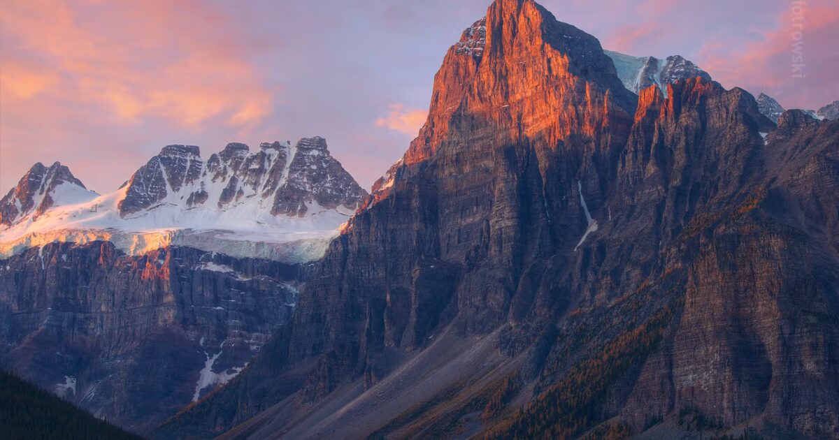 Virtex | Component Example | Hero Banner block title placement here